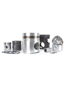 Nebraska LICA - Piston & Piston Kits